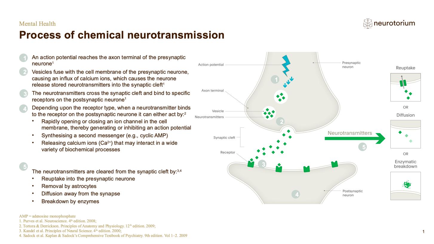 Fundamentals of Neurobiology - Neurotorium