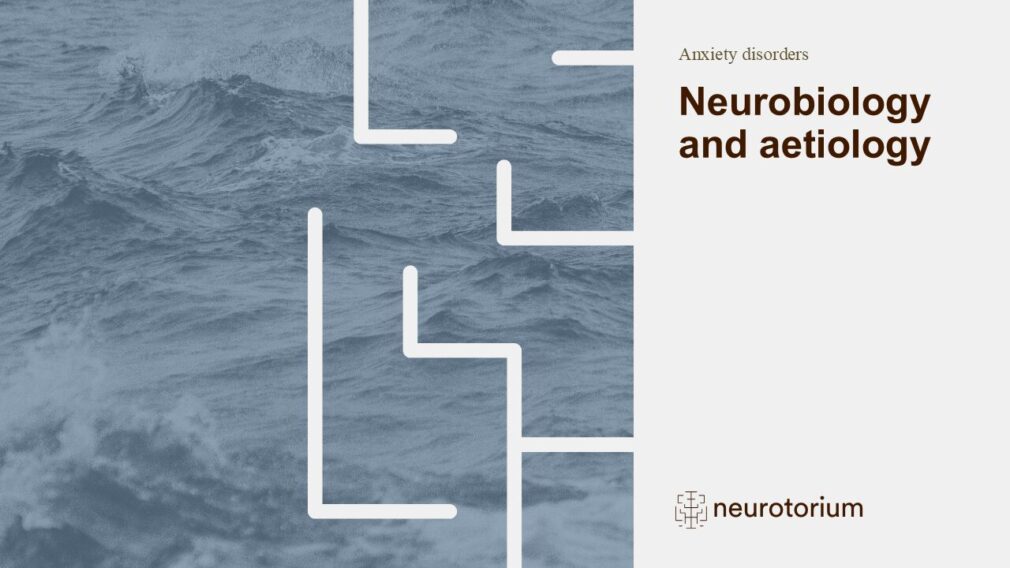 Anxiety disorders - Neurobiology and aetiology - Neurotorium