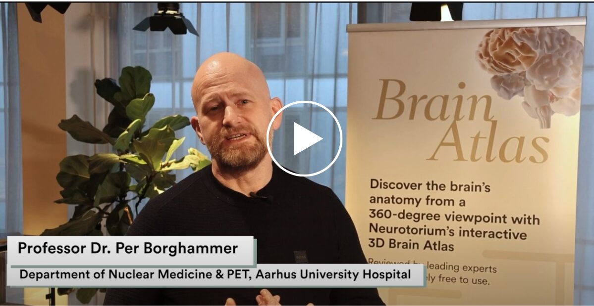 Brain-first vs Body-first Parkinson's Disease - Neurotorium