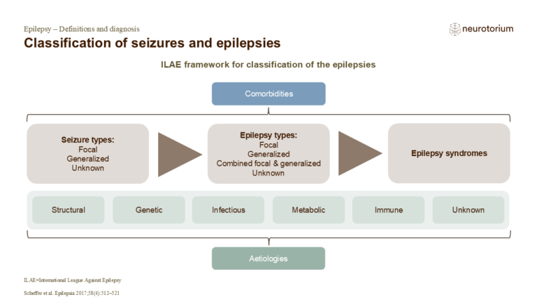 Epilepsy - Neurotorium
