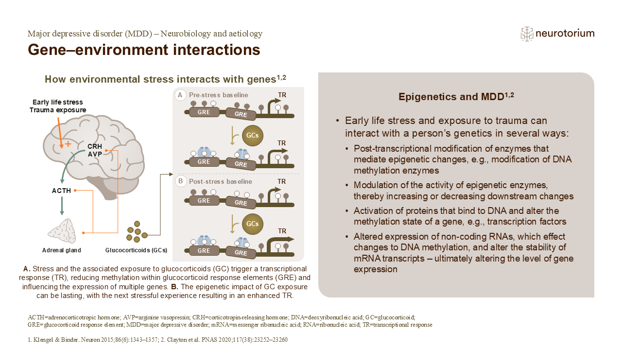 Gene–environment interactions - Neurotorium