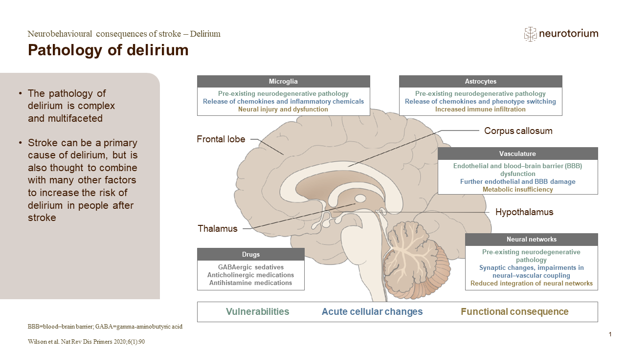 Neurobehavioural Consequences of Stroke (NBCS) - Neurotorium