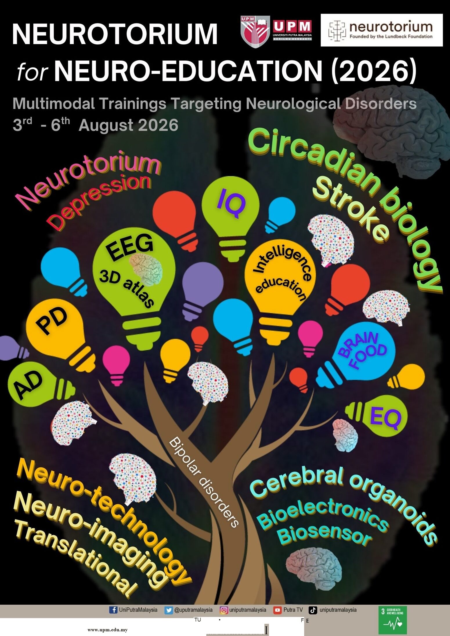 Neurotorium for Neuro-education: Multimodal Trainings Targeting ...