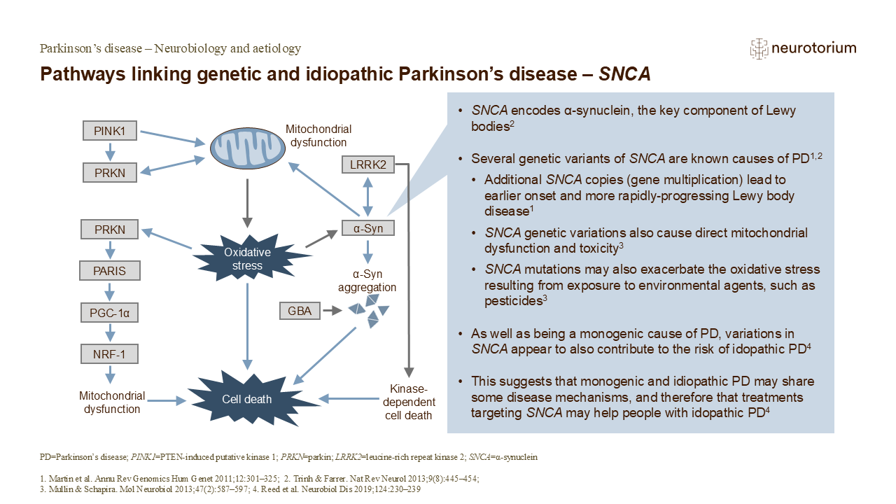 Pathways linking genetic and idiopathic Parkinson’s disease – SNCA ...